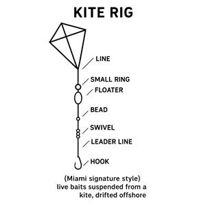 Kite Rig - Made In Dade
