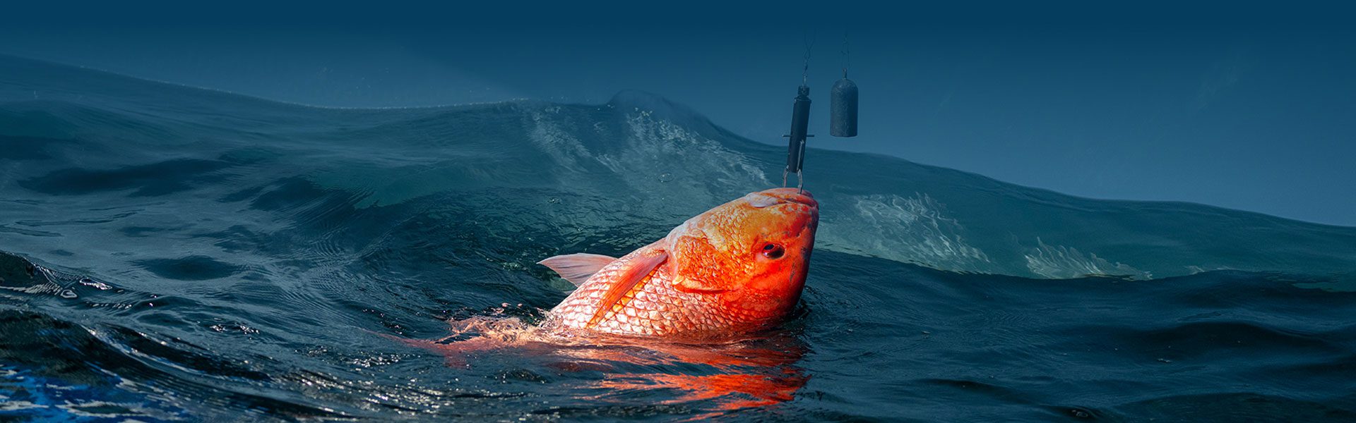 Return ’Em Right: Helping Anglers Keep Reef Fish Alive - Made In Dade